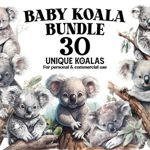 Baby Koala Clipart Bundle - 30 Watercolor Baby Koala Baers Pngs for ...