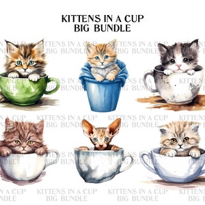Kittens in a Cup Clipart Big Bundle - 38 Cute Cats as Pngs - Digital ...