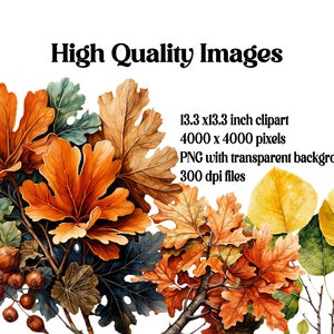 Fall Leaves Clipart Big Bundle 54 Watercolor Autumn Leaf Pngs Digital ...