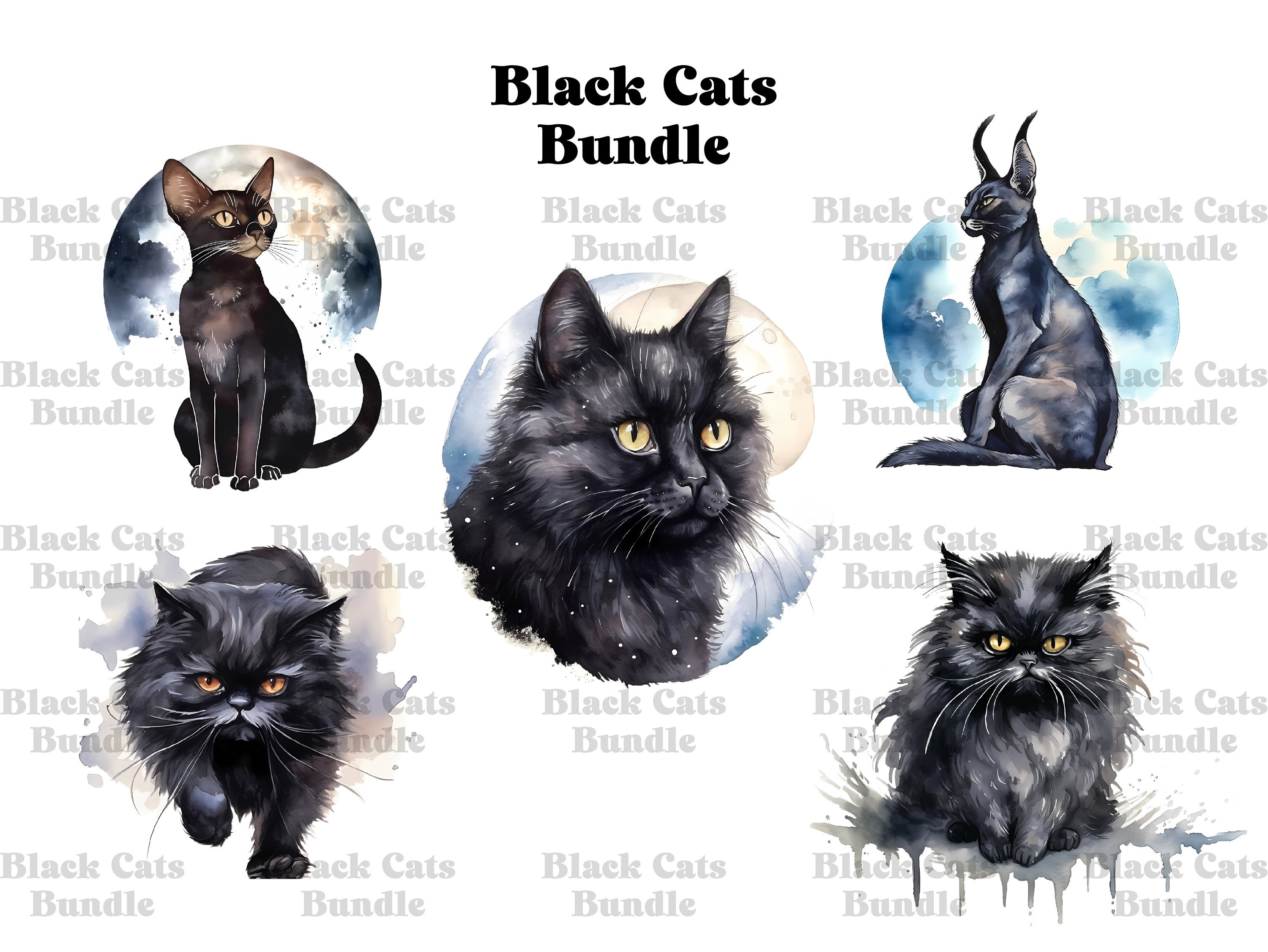 Black Cat Clipart Bundle 21 Black Cats as Pngs Digital Download for ...