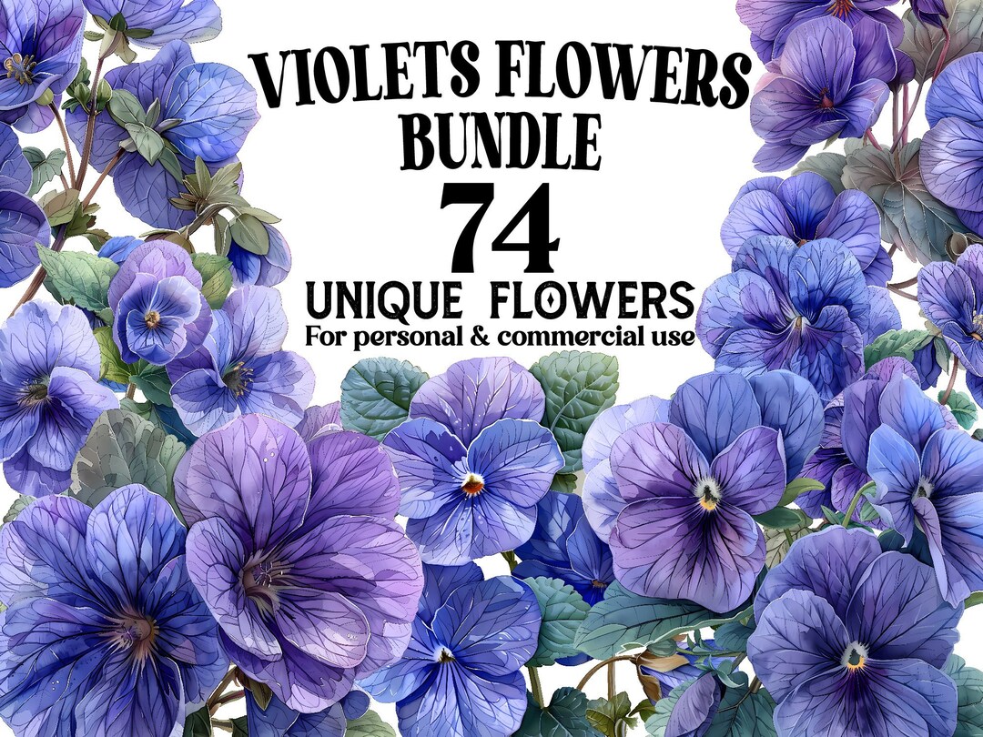 Violets Flowers Clipart Bundle - 74 Watercolor Floral Pngs - Digital ...