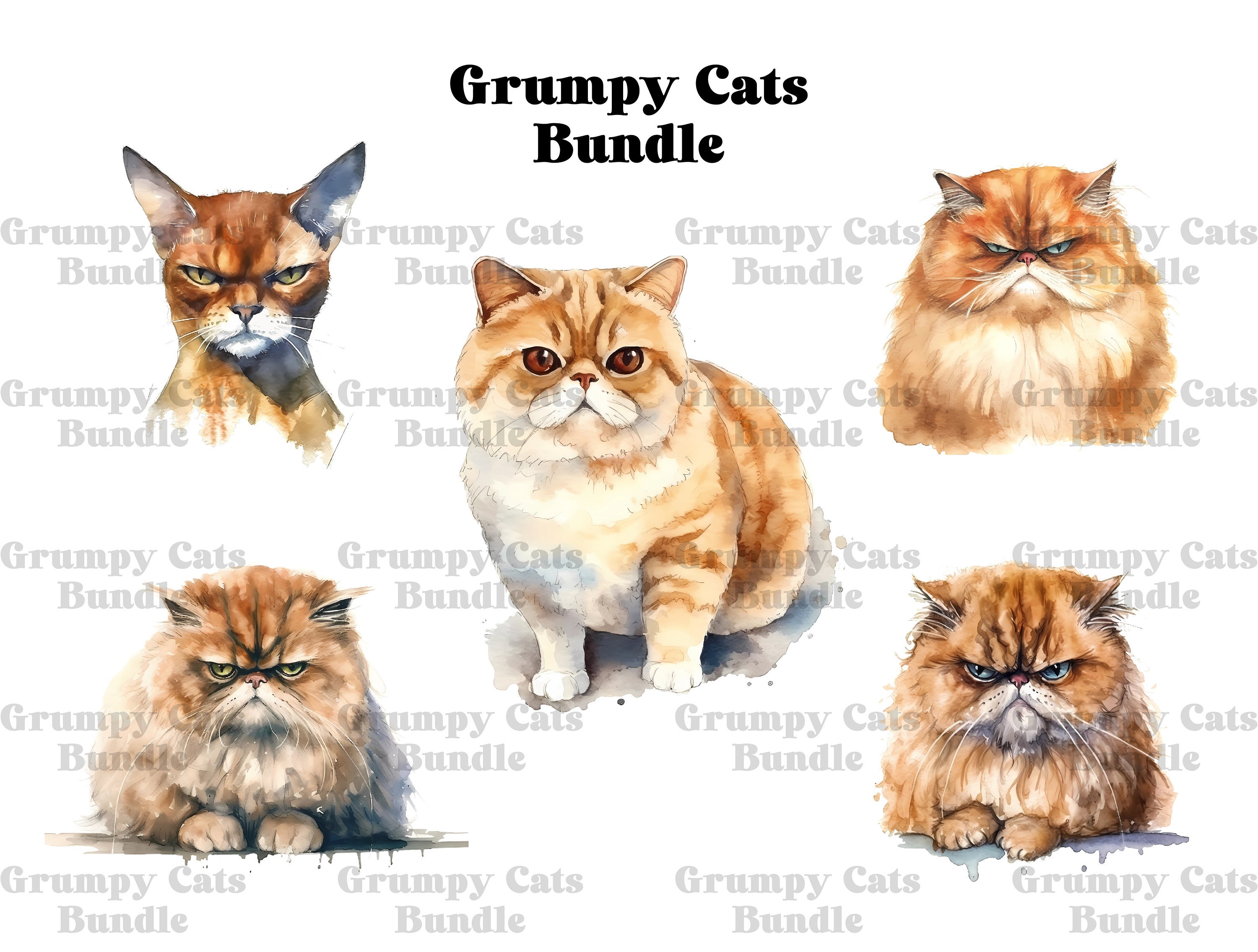 Grumpy Cat Clipart Bundle 17 Grump Cats as Watercolor Pngs - Etsy
