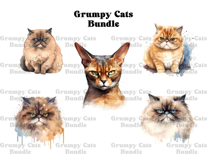 Grumpy Cat Clipart Bundle 17 Grump Cats as Watercolor Pngs - Etsy