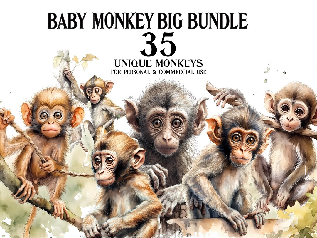 Baby Monkey Clipart Big Bundle - 35 Monkey Watercolor Pngs - Digital ...