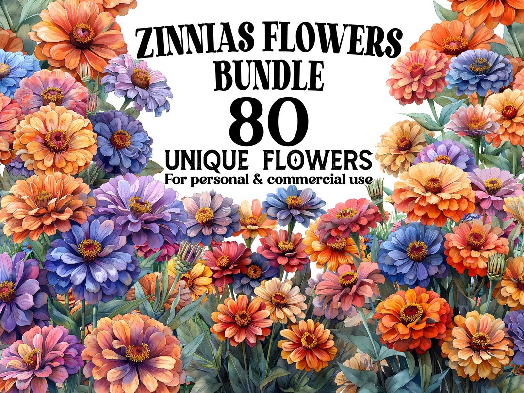 Zinnias Flowers Clipart Bundle - 80 Watercolor Floral Pngs - Digital ...