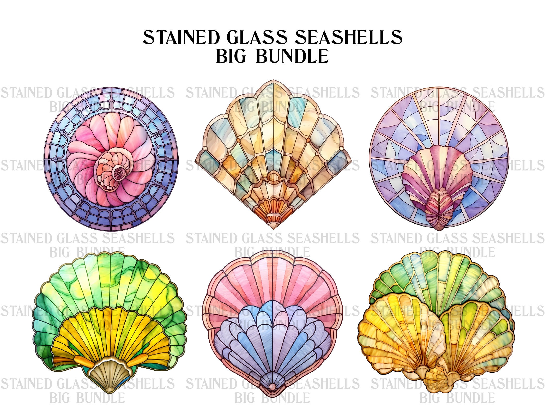 Seashell Stained Window Clipart Big Bundle 46 Seashells - Etsy