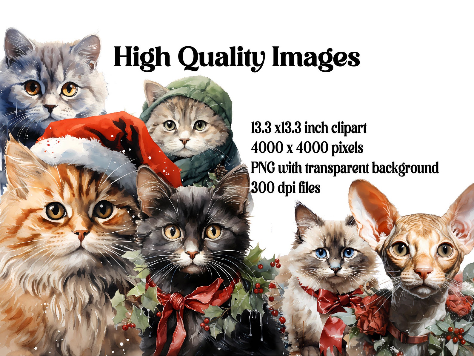 Christmas Cats Clipart Bundle 60 Christmas Pngs Clip Art Fordecor ...