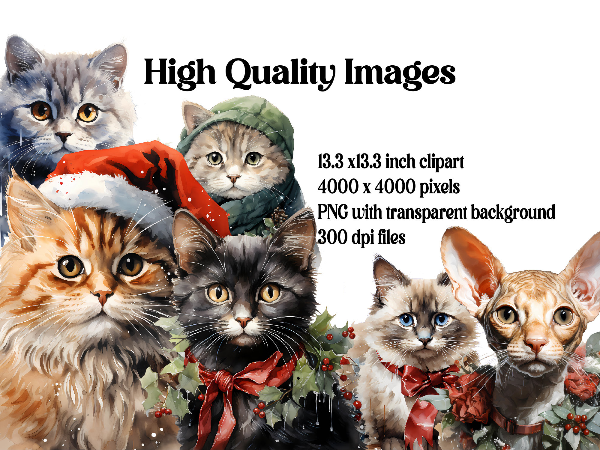 Christmas Cats Clipart Bundle 60 Christmas Pngs Clip Art Fordecor ...