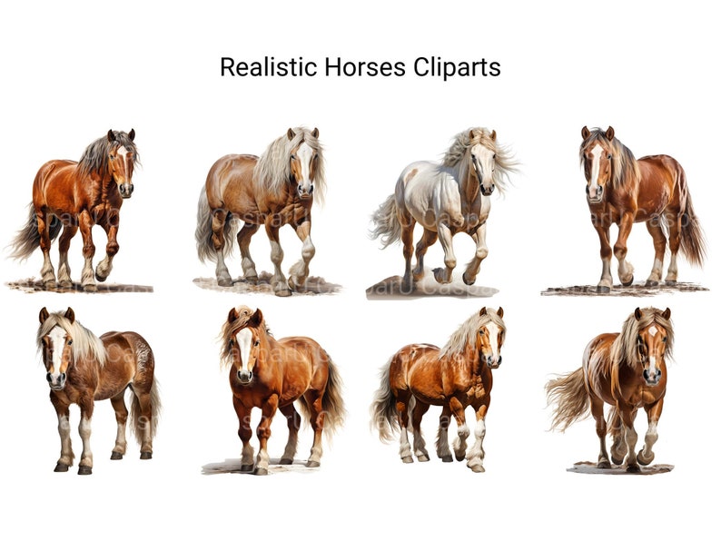Realistic Horses Clipart Bundle 64 Farming Horses Pngs Digital Download ...