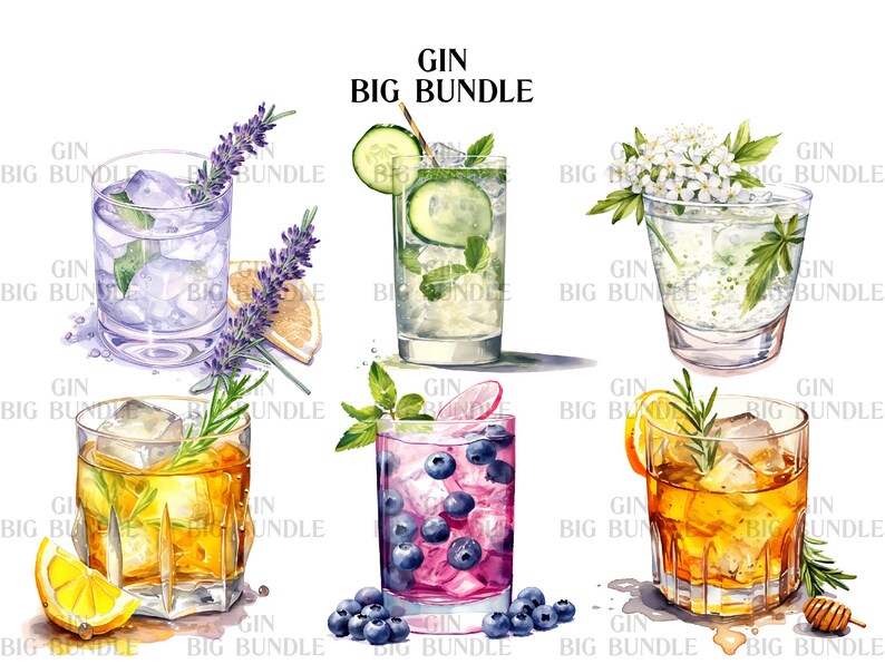 Gin Clipart Big Bundle 52 Gin Drinks as Pngs Clip Art Collection for ...