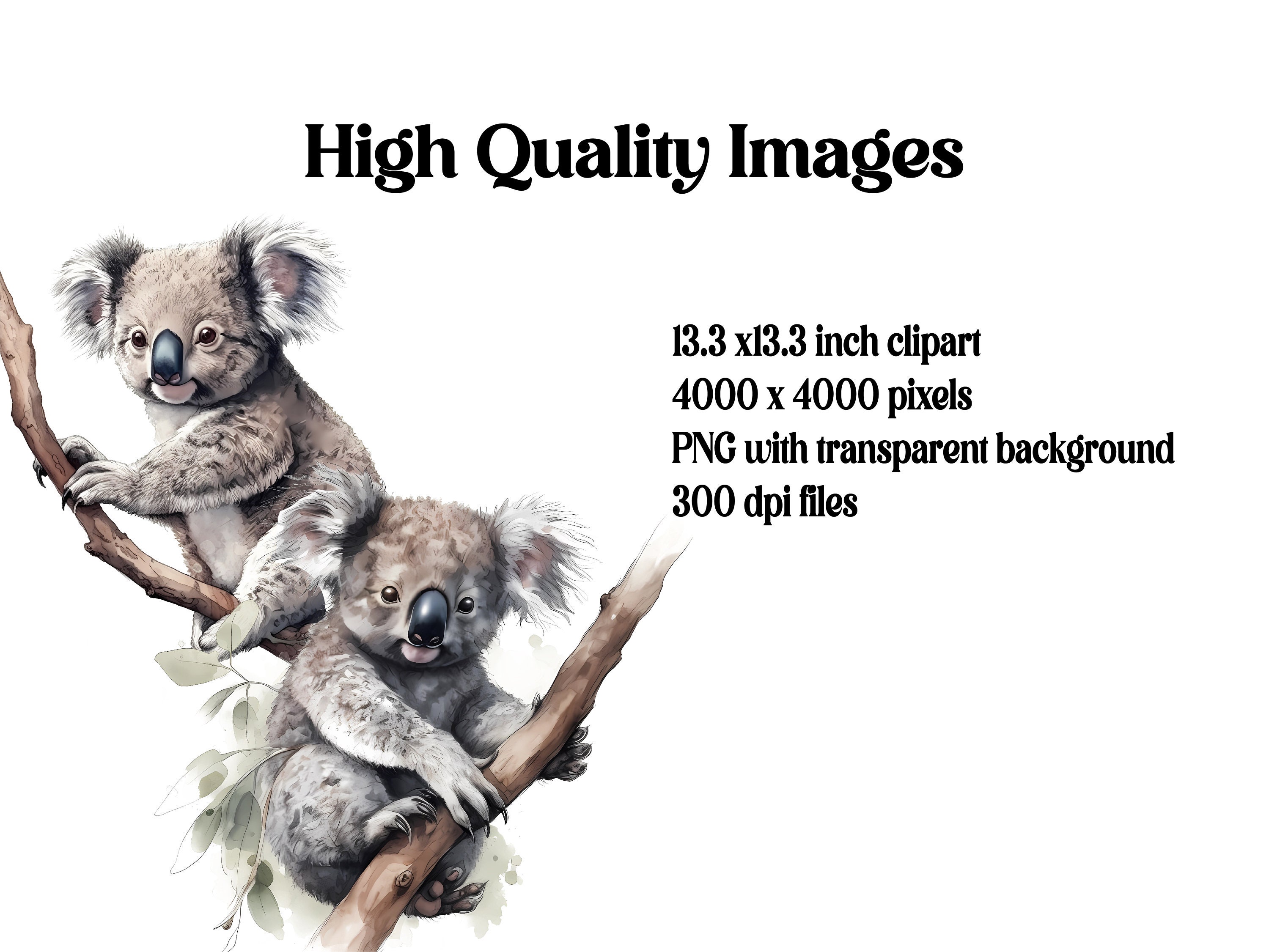Baby Koala Clipart Bundle 30 Watercolor Baby Koala Baers Pngs for Koala ...