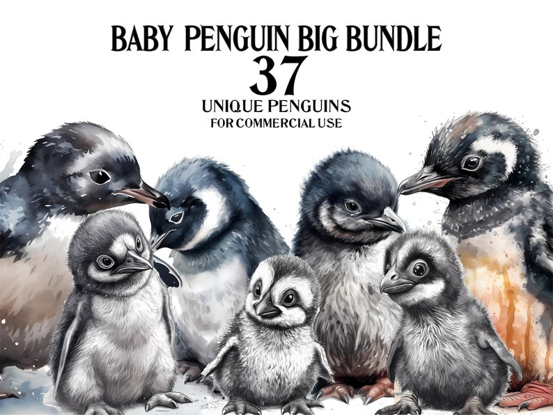 Baby Penguins Animals Clipart Big Bundle 37 Penguins - Etsy
