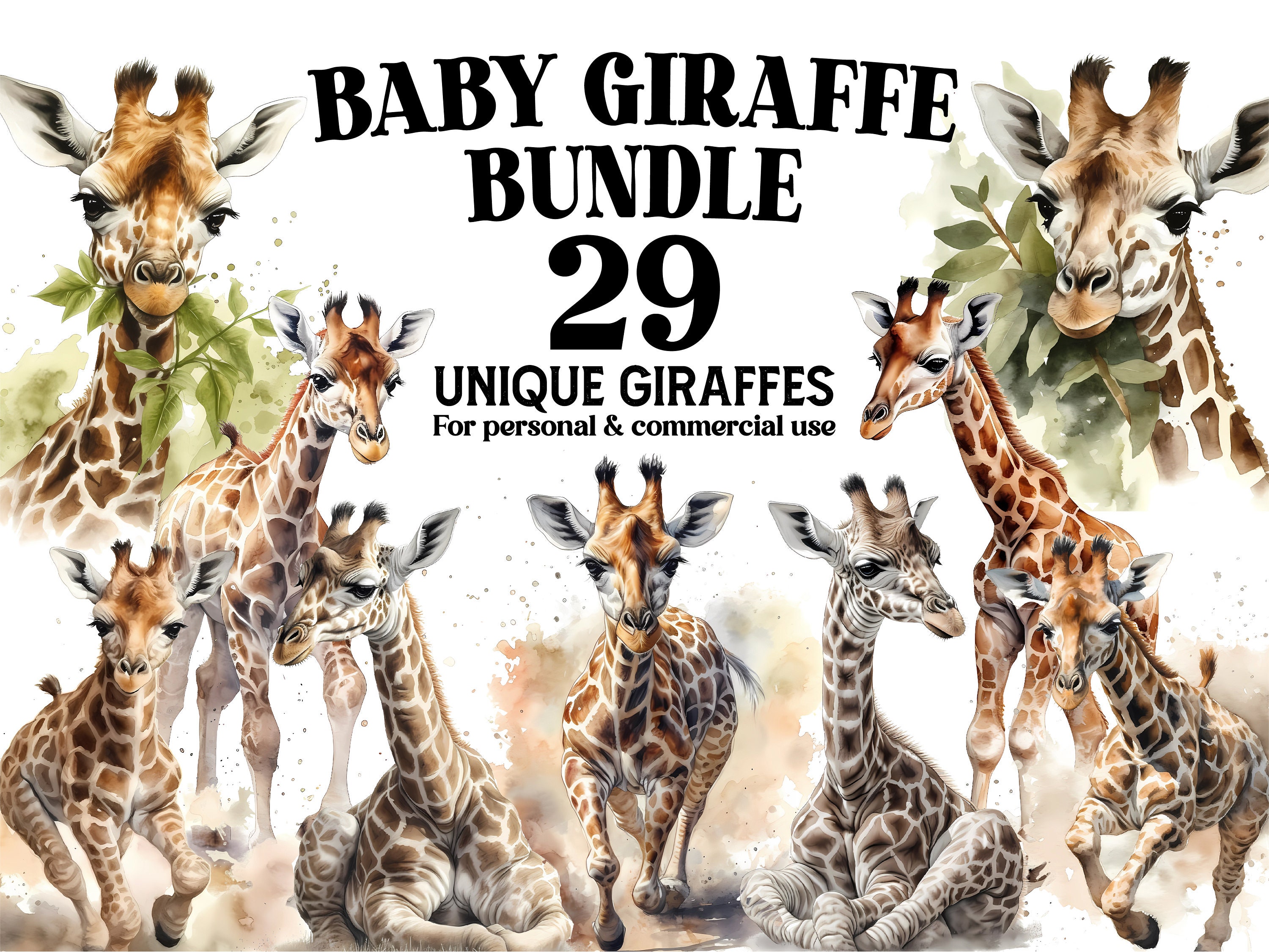 Baby Giraffe Animal Clipart Big Bundle 37 Giraffes - Etsy
