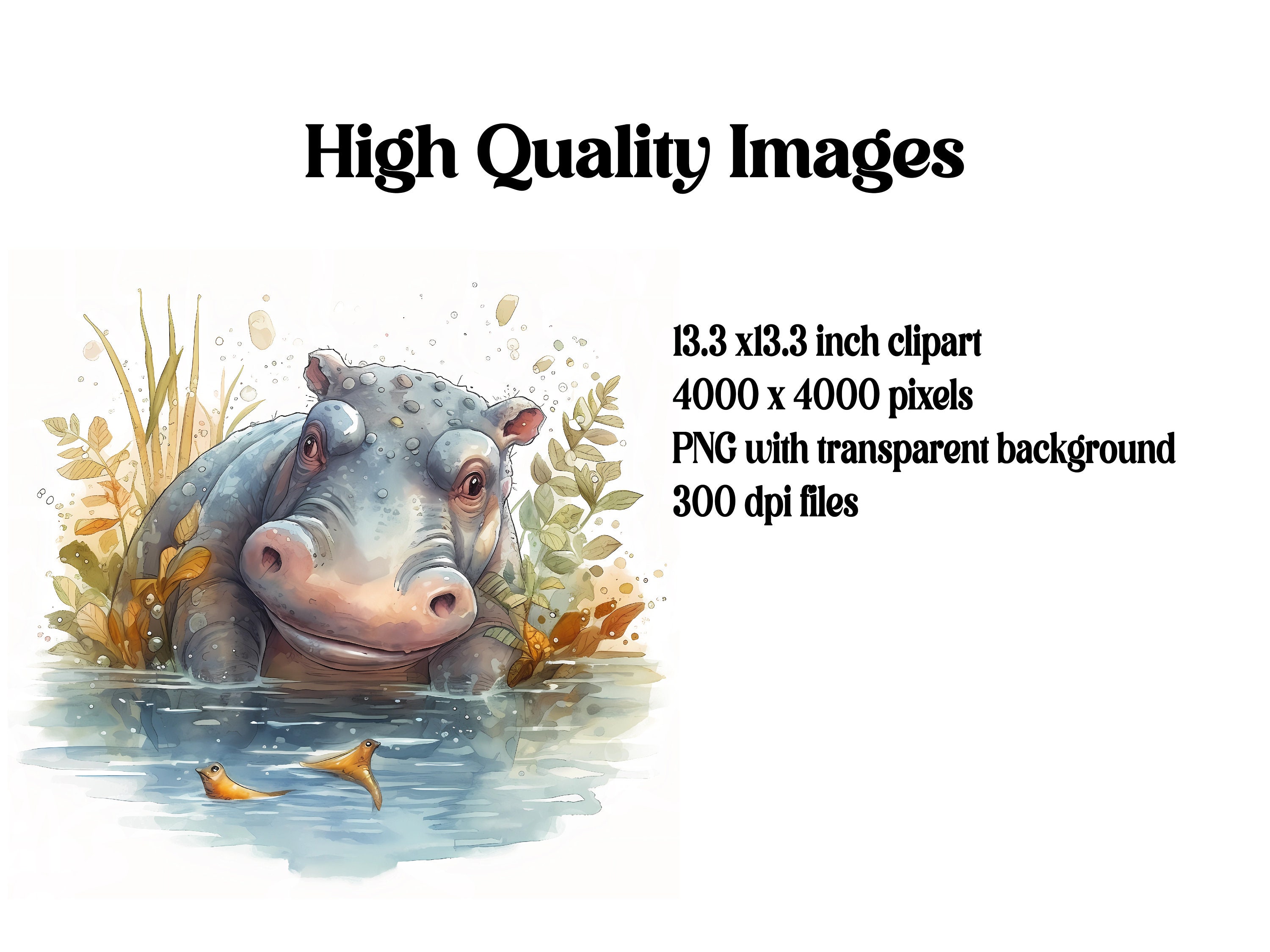 Baby Hippo Clipart Bundle 15 Hippos as Watercolor Pngs Digital Download ...