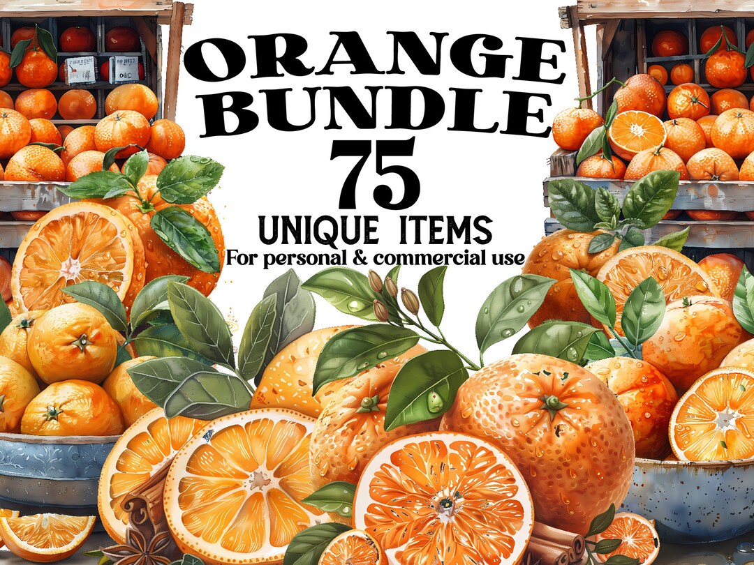 Orange Clipart Bundle 75 Fruits Watercolor Pngs Digital Download for ...