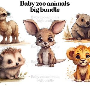 25 Baby Zoo Animals Clipart Bundle - Cute Cartoon Animal Pngs - Digital ...