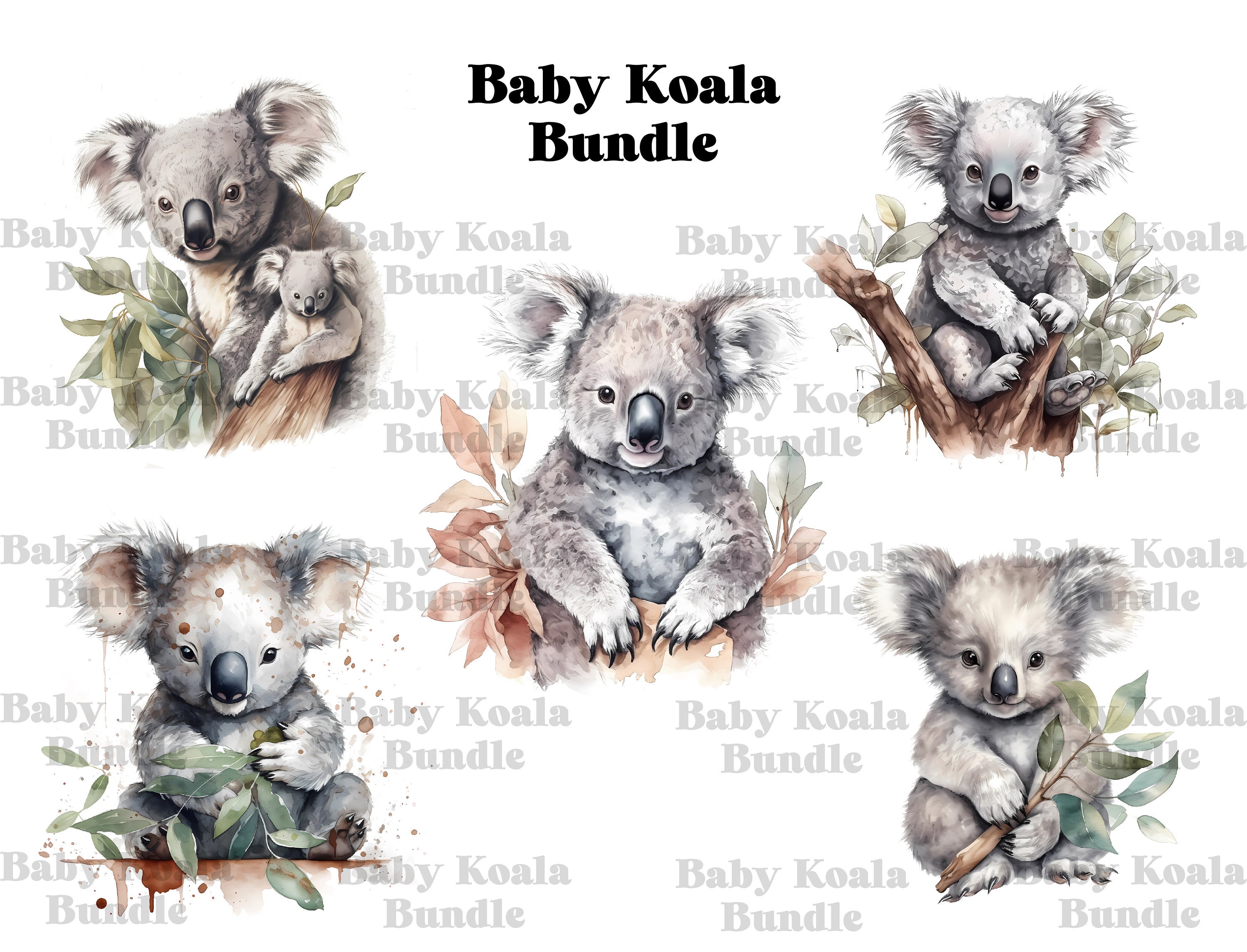Baby Koala Clipart Bundle 30 Watercolor Baby Koala Baers Pngs for Koala ...