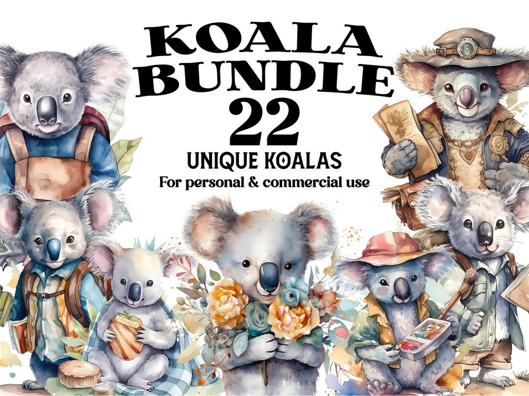 Koala Clipart Bundle - 24 Watercolor Koala Baer Pngs for Koala Lovers ...