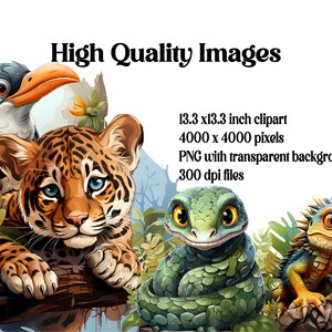 Cute Jungle Clipart Big Bundle - 48 Animal Watercolor Pngs - Digital ...