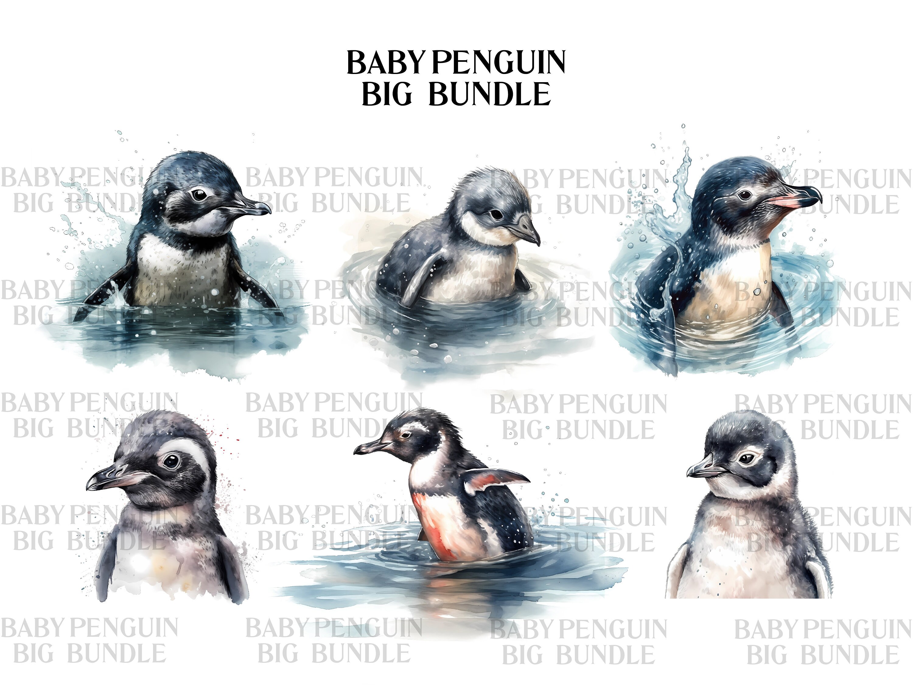 Baby Penguins Animals Clipart Big Bundle 37 Penguins Watercolor Pngs ...