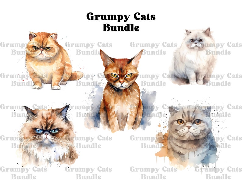 Grumpy Cat Clipart Bundle 17 Grump Cats as Watercolor Pngs - Etsy