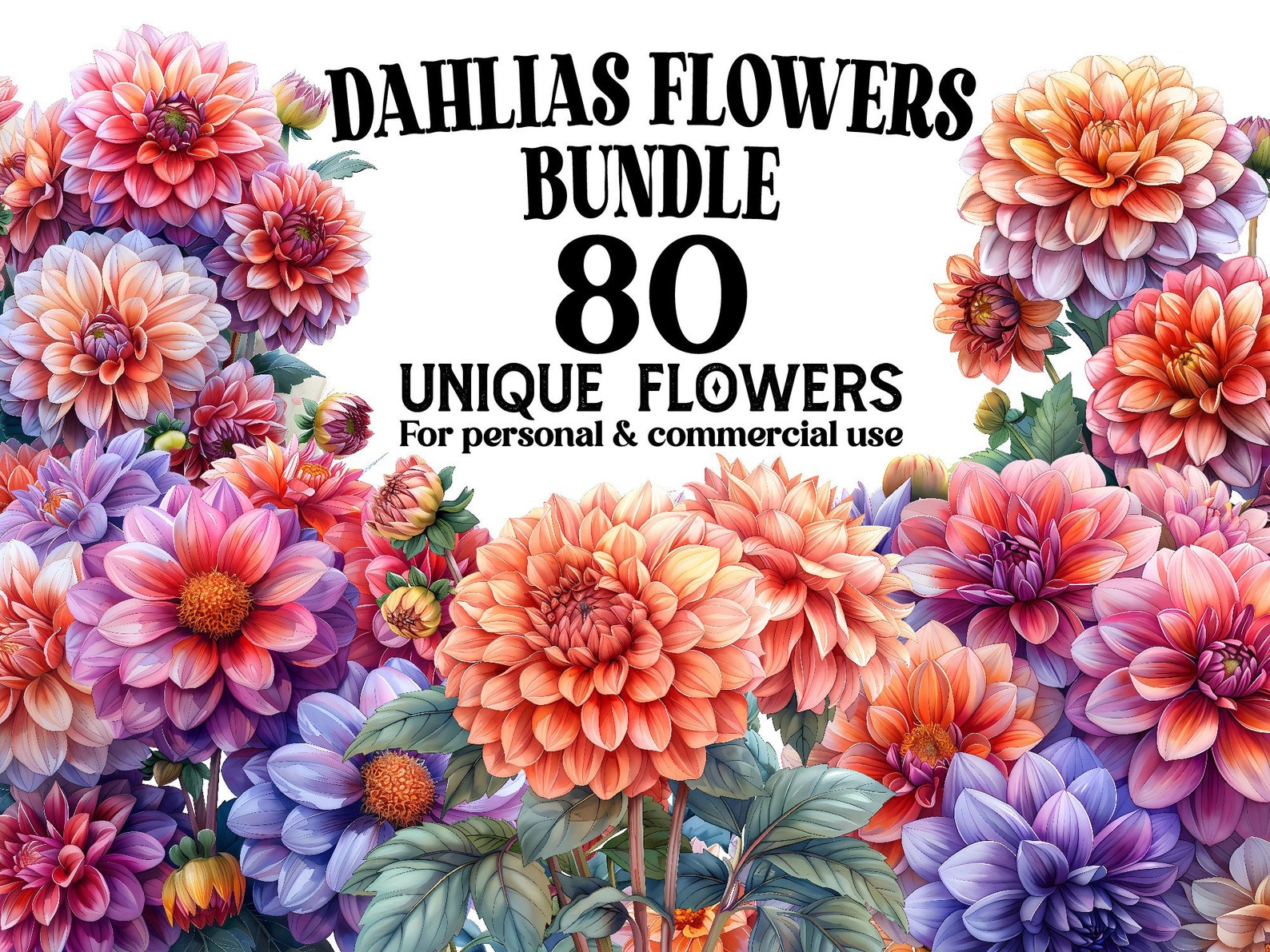 Dahlias Flowers Clipart Bundle 80 Watercolor Floral Pngs Digital ...