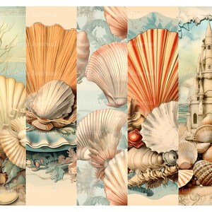 40 Sea Shell Journal Pages - Printable Sea Shells Junk Journal for ...