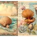 40 Sea Shell Journal Pages Printable Sea Shells Junk Journal for ...