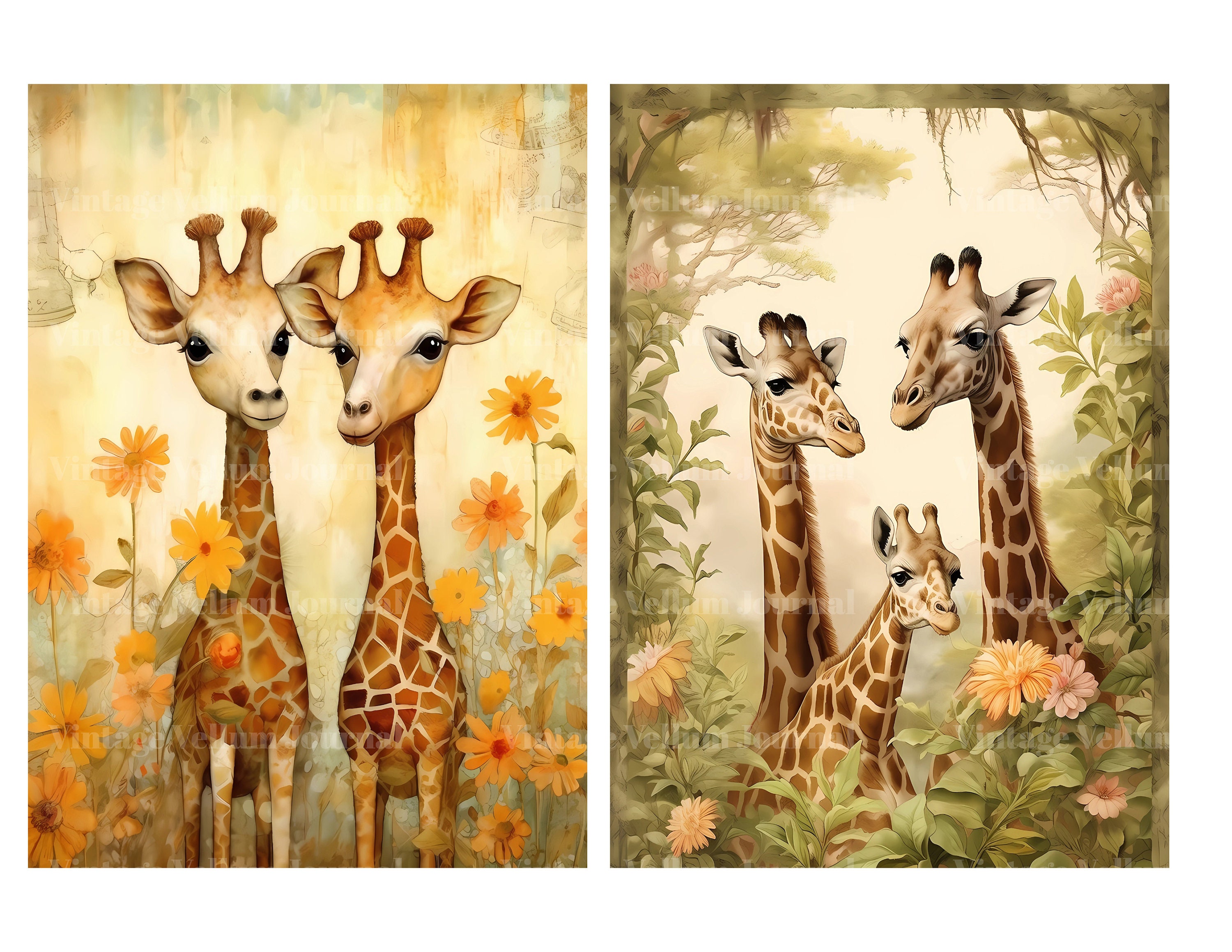 30 Baby Giraffe Junk Journal Pages Printable Baby Giraffes - Etsy