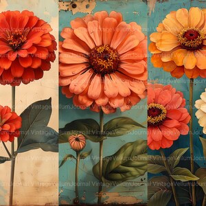 80 Zinnias Flowers Journal Pages - Floral Junk Journal for Scrapbooks ...