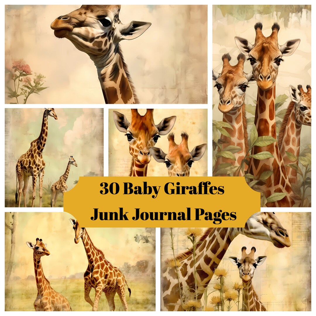 30 Baby Giraffe Junk Journal Pages - Printable Baby Giraffes Junk ...