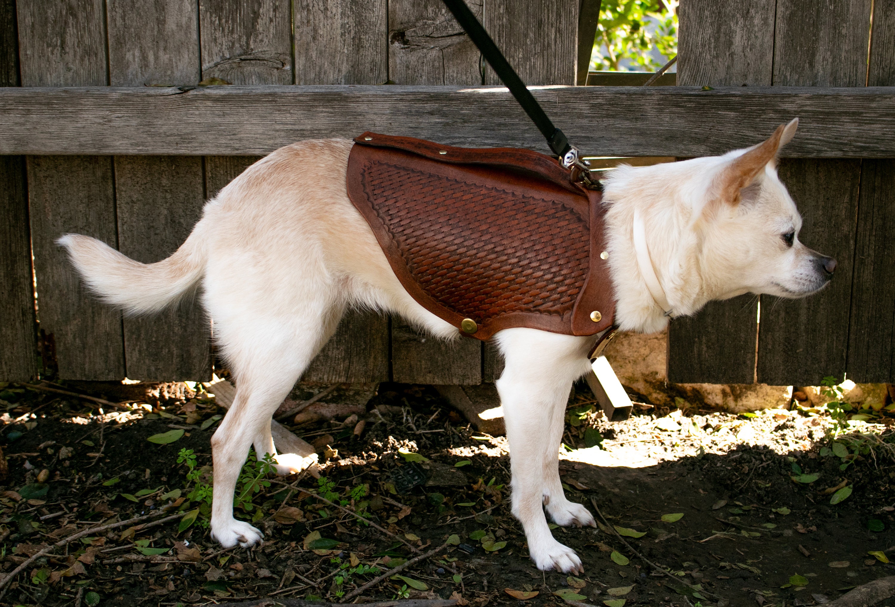 Customizable Leather Small Dog Armor Harness Classic - Etsy