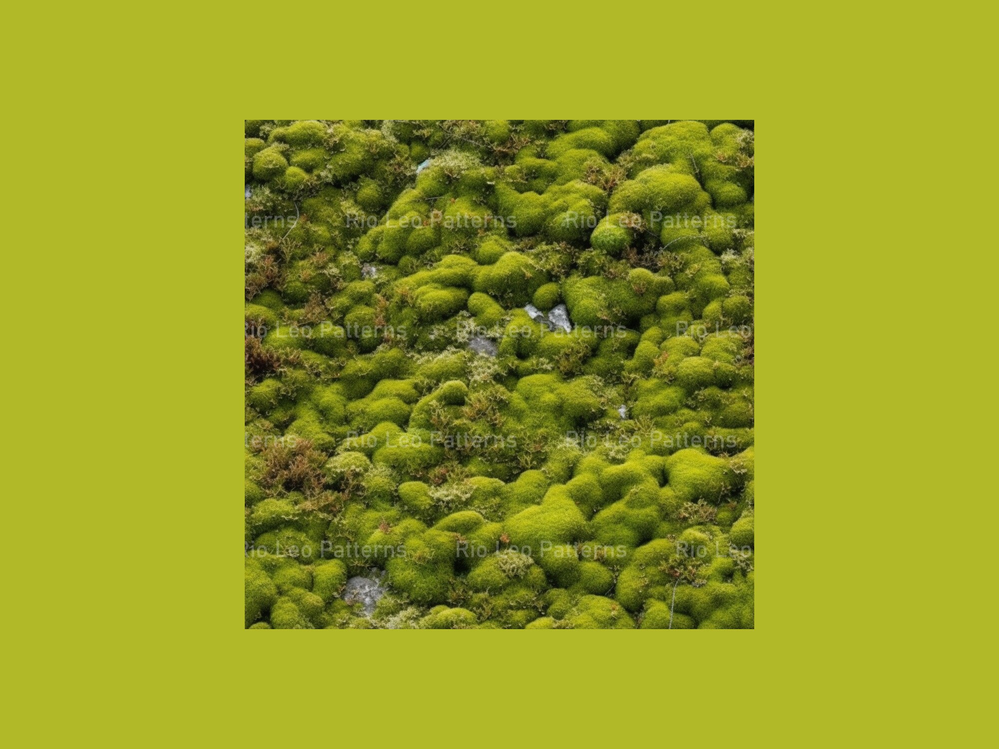 10 Moss Texture Tile Pack, Seamless Square Patterns 1024px, Instant ...