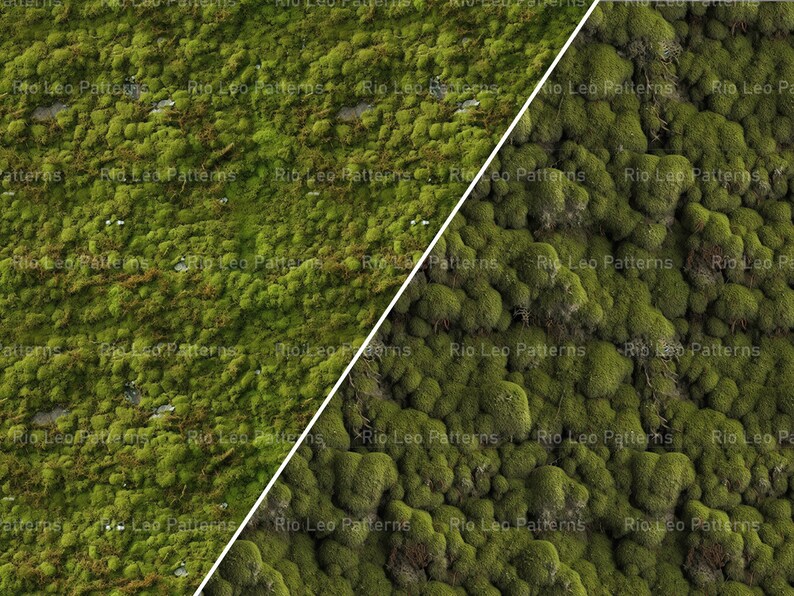 10 Moss Texture Tile Pack, Seamless Square Patterns 1024px, Instant ...