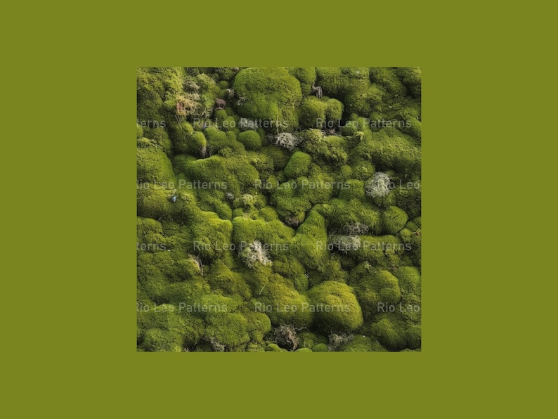 10 Moss Texture Tile Pack, Seamless Square Patterns 1024px, Instant ...