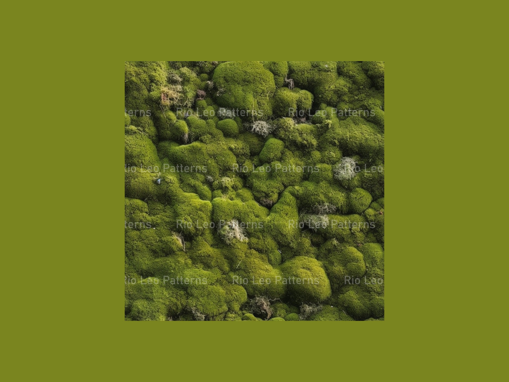 10 Moss Texture Tile Pack, Seamless Square Patterns 1024px, Instant ...