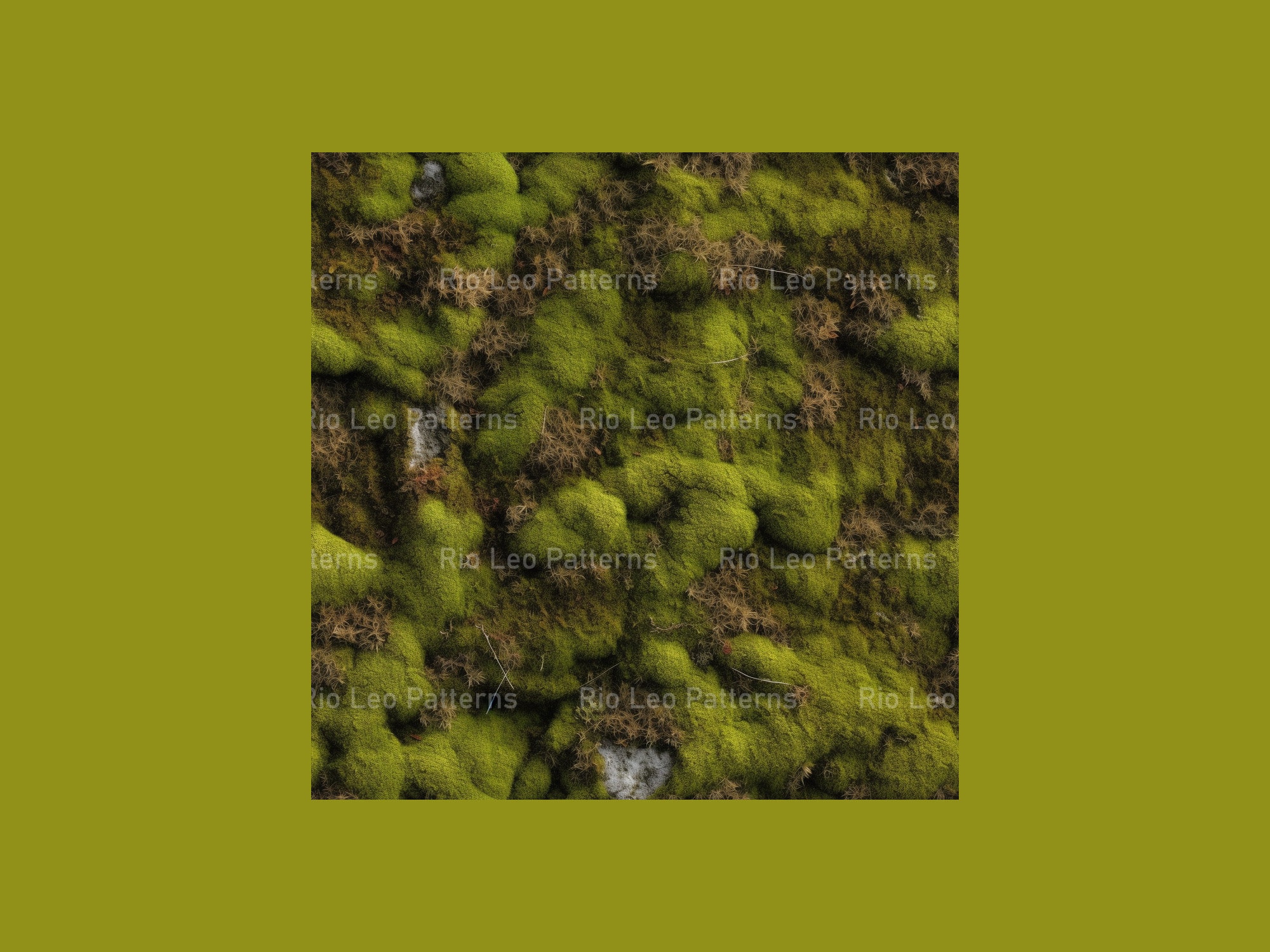 10 Moss Texture Tile Pack, Seamless Square Patterns 1024px, Instant ...