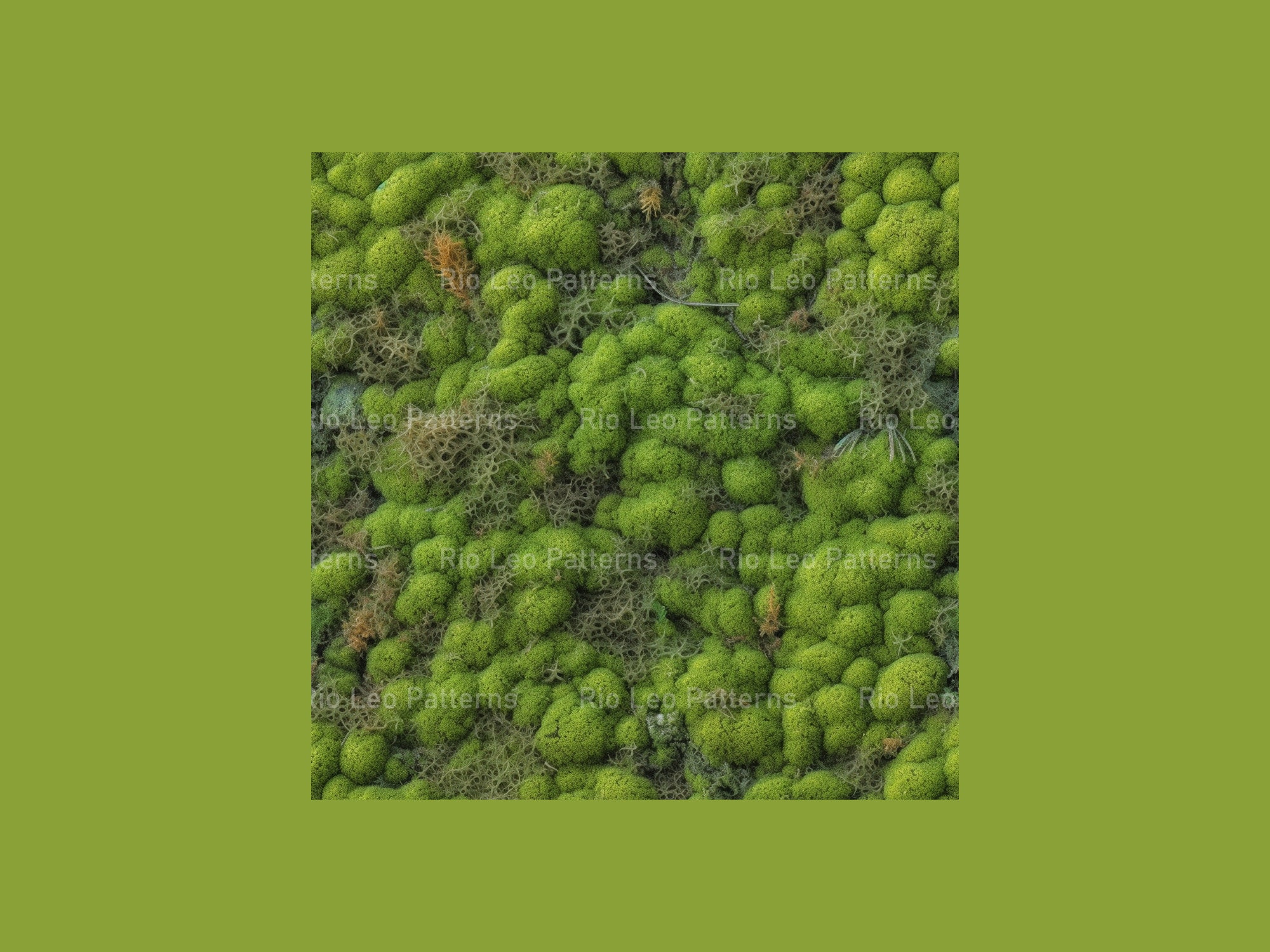 10 Moss Texture Tile Pack, Seamless Square Patterns 1024px, Instant ...