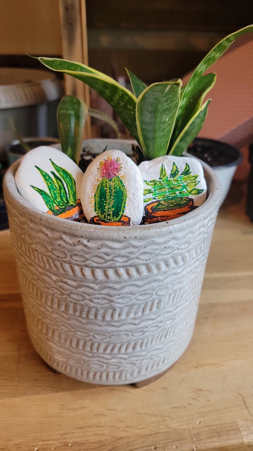 Original Handpainted Set of 3 River Stone Rocks Featuring Succulents - Etsy