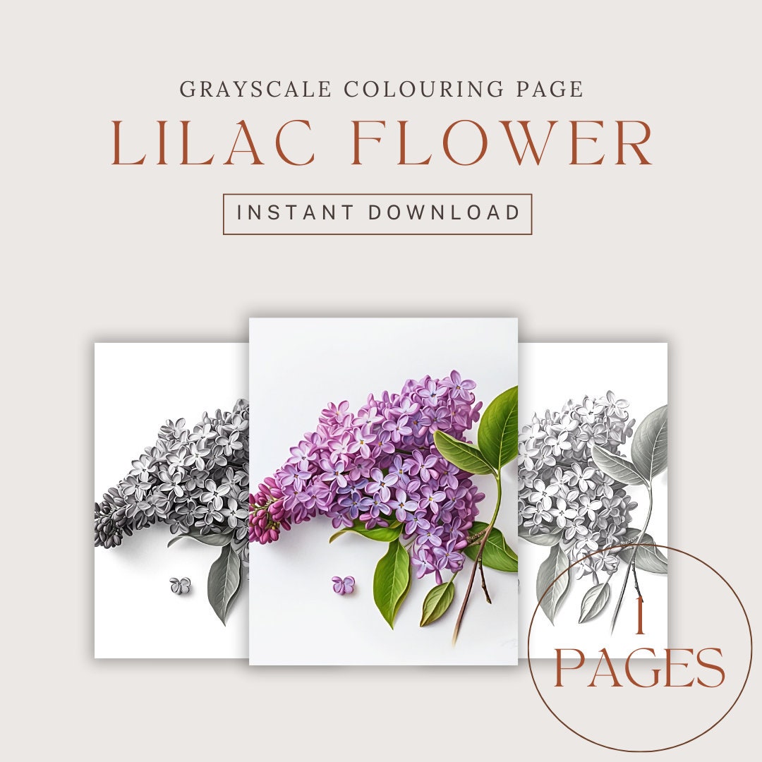 1 Lilac Flower Printable Colouring Page for Adults + Kids Grayscale Art ...