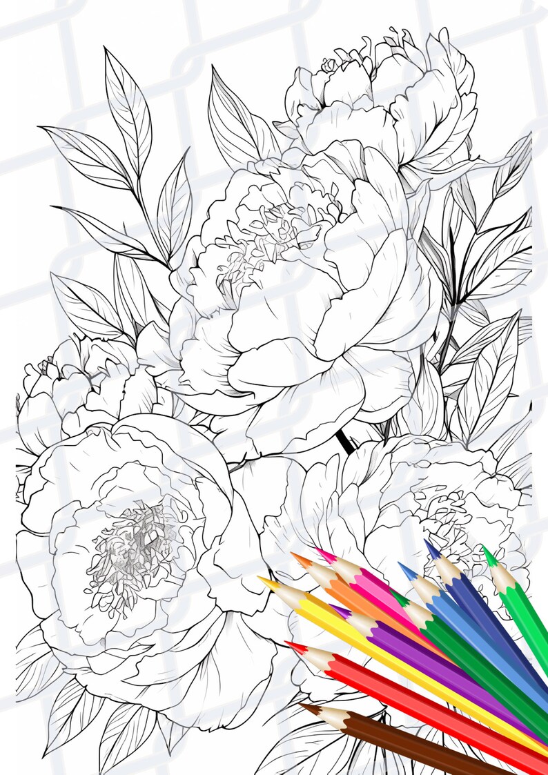 100 Floral Explosion Coloring Pages Coloring Book art - Etsy