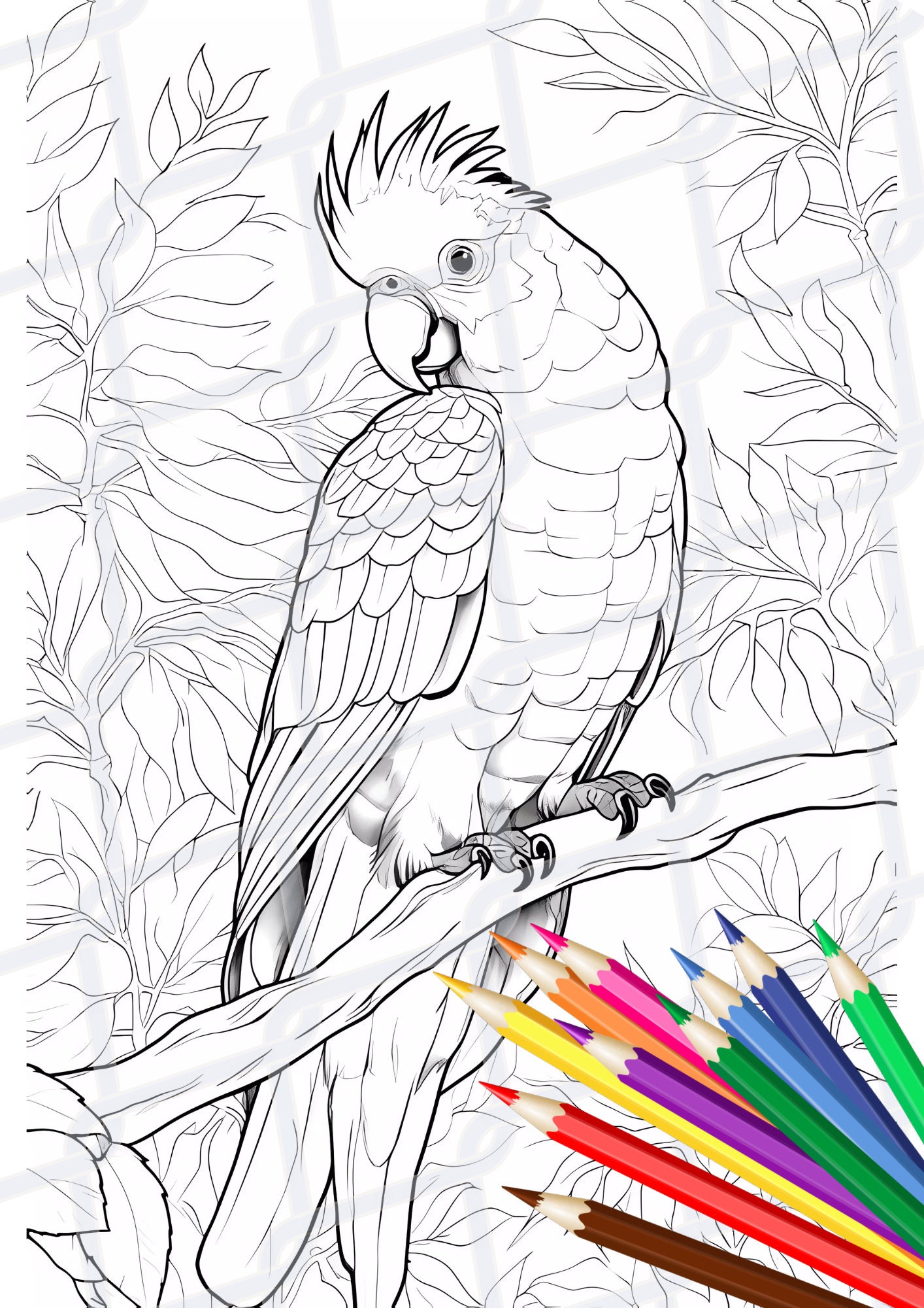 25 Tropical Birds | Coloring Book | Grayscale Colouring Pages for ...