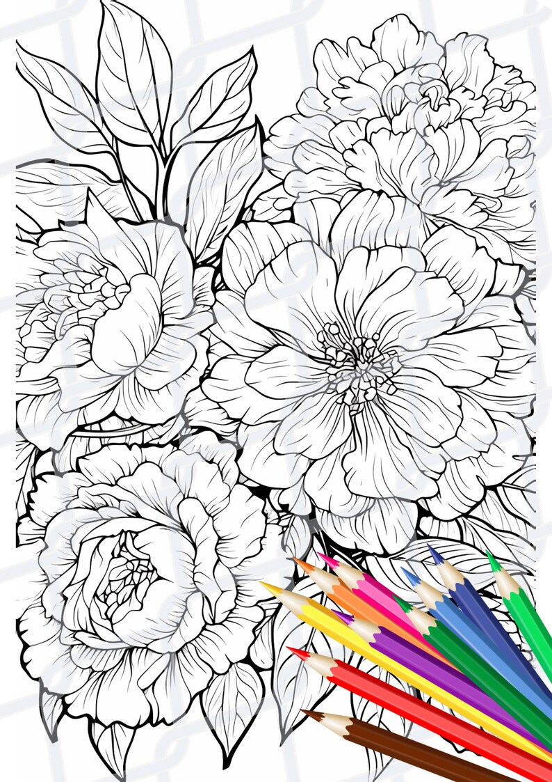 100 Floral Explosion Coloring Pages | Coloring Book |art Activity for ...