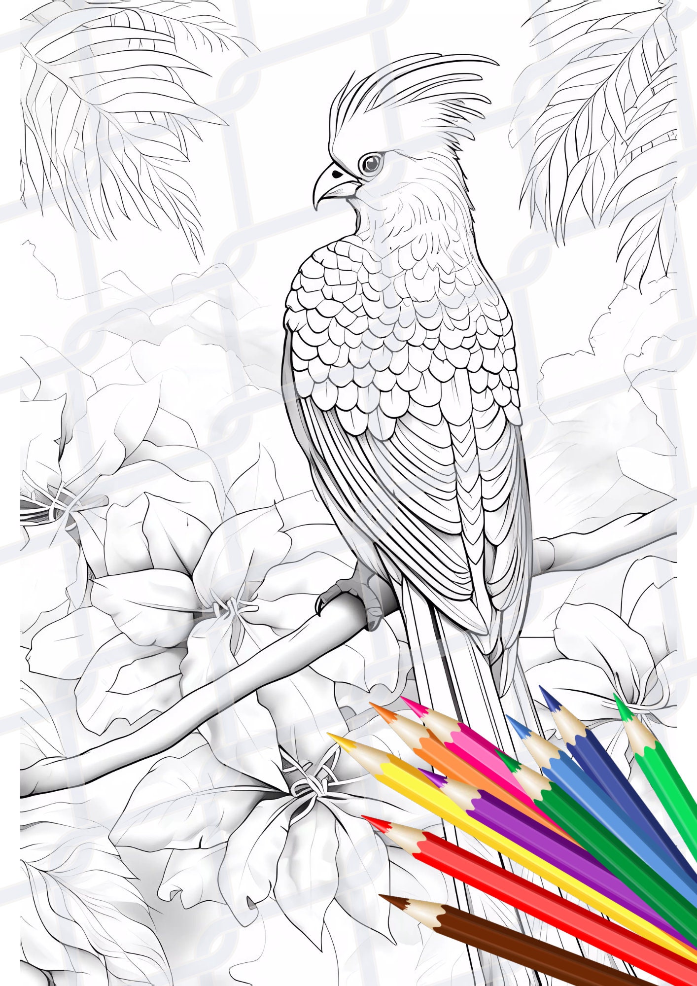 25 Tropical Birds | Coloring Book | Grayscale Colouring Pages for ...