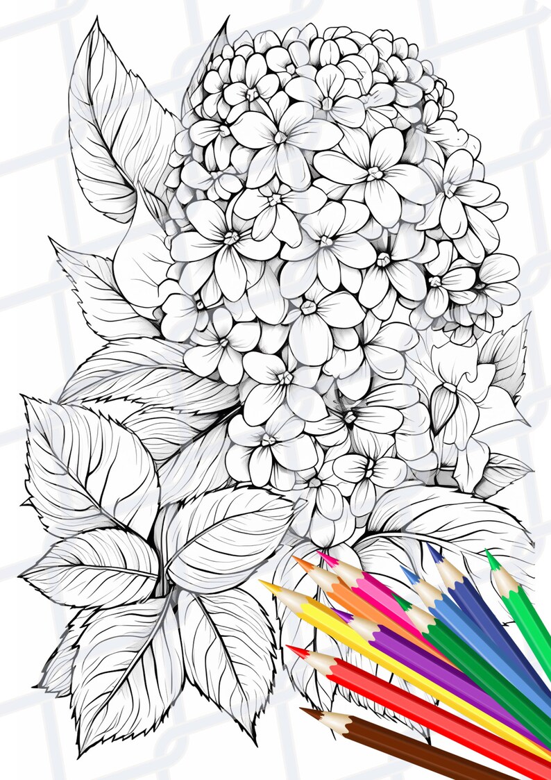 100 Floral Explosion Coloring Pages Coloring Book art - Etsy