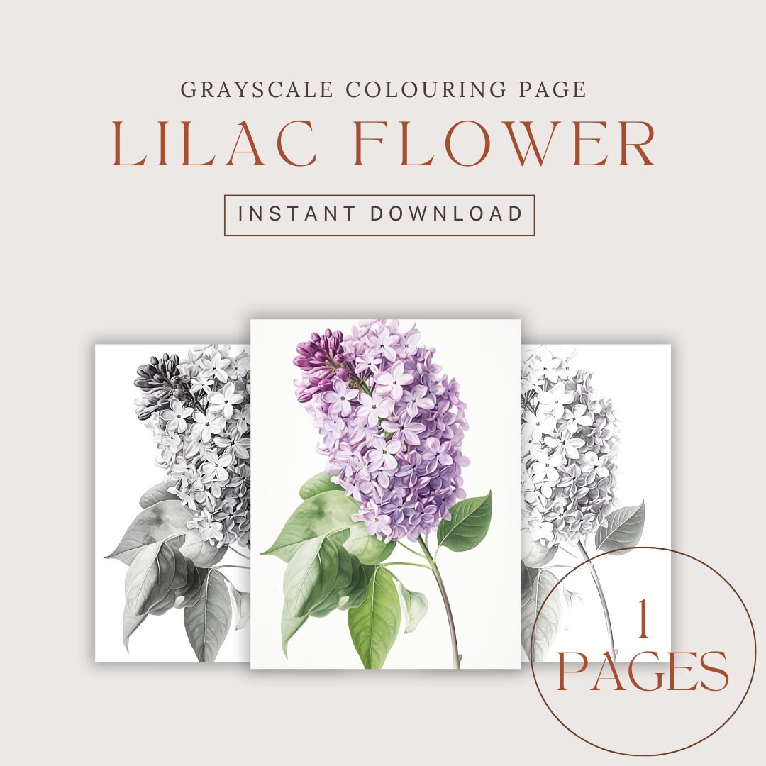1 Lilac Flower Colouring Page for Adults Kids Greyscale Colouring Art ...