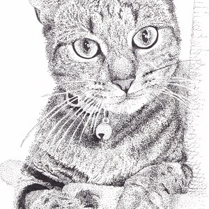 Pet Portrait | Pointillism | Realism | Original Art | Art Print | Wall ...