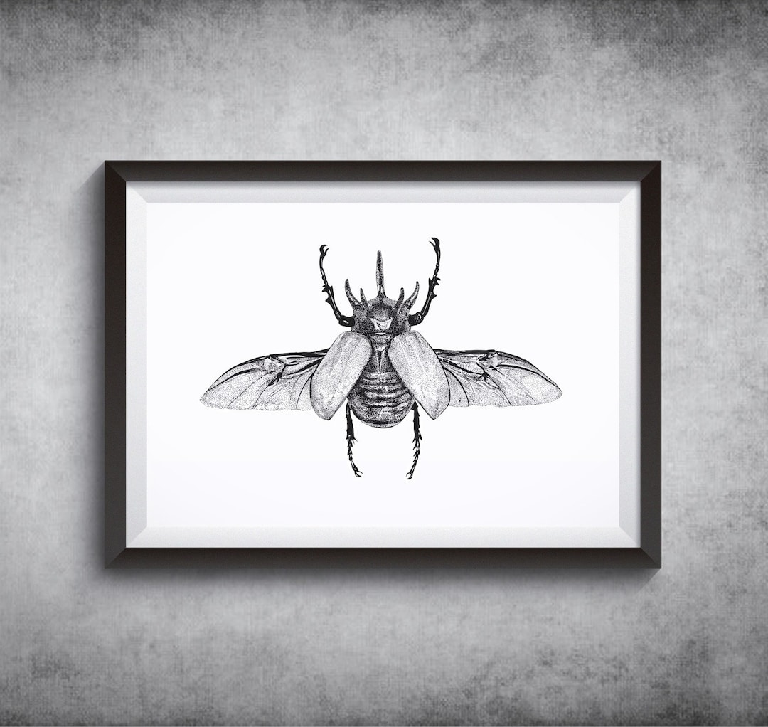 Five Horned Beetle Art Realism Animal Art Art Prints Pointillism Black ...