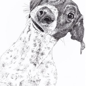 Pet Portrait | Pointillism | Realism | Original Art | Art Print | Wall ...