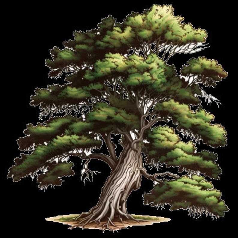 10 Stunning Big Tree Clip Art Designs for Your Creative Projects - Etsy